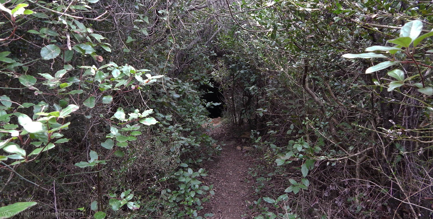 Tunnel et four à chaux sous une colline de l'Hérault