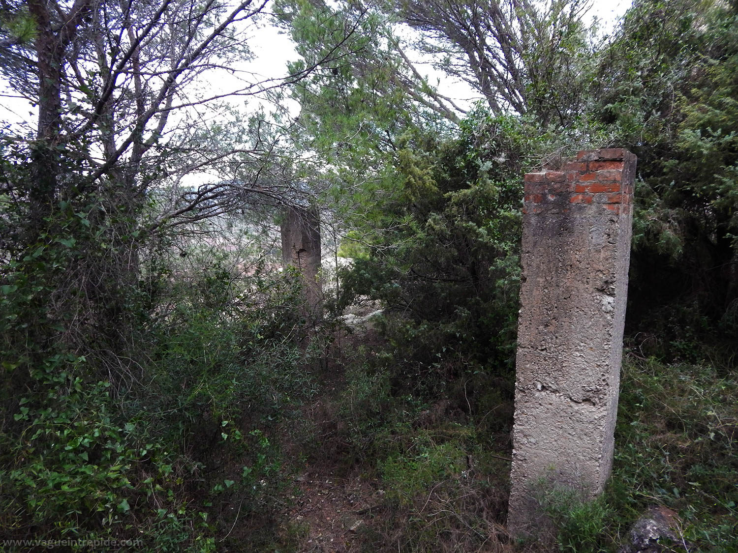 Tunnel et four à chaux sous une colline de l'Hérault